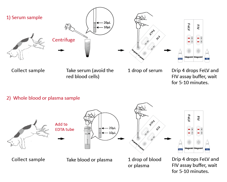 FeLV Ag / FIV Ab Combo Test – Bioguard