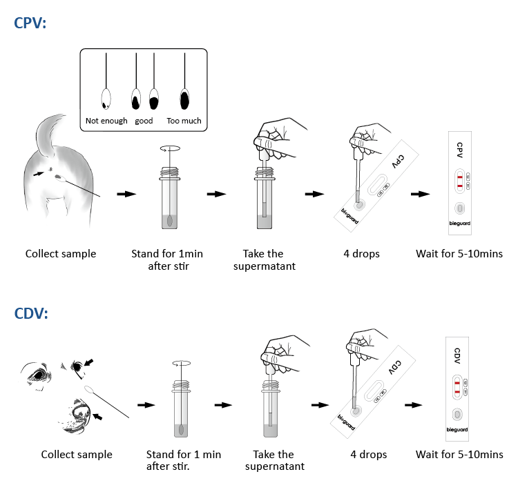 CPV Ag / CDV Ag Combo Test – Bioguard