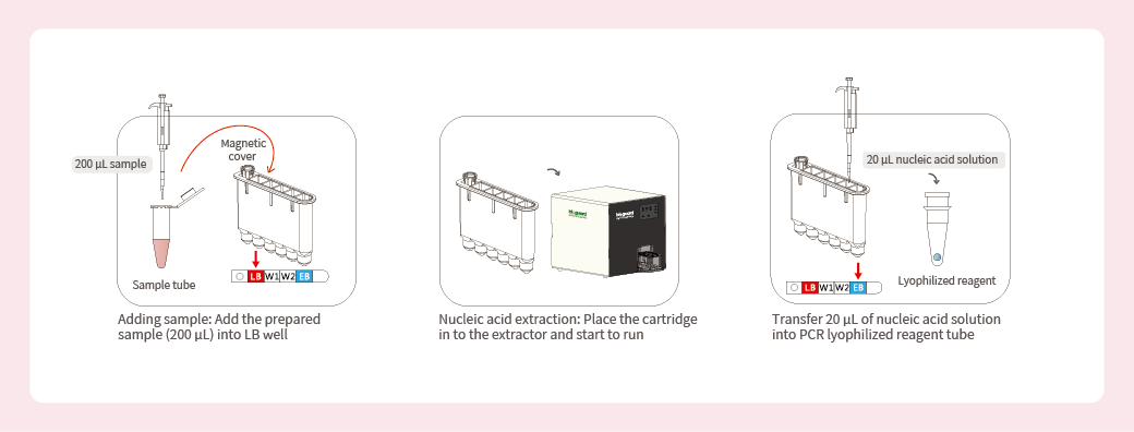 Qmini BVG-1100 Nucleic Acid Extractor - Bioguardlabs