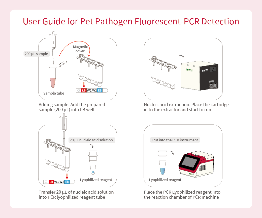 Respiratory Tract Disease Complex in Cats - Bioguardlabs