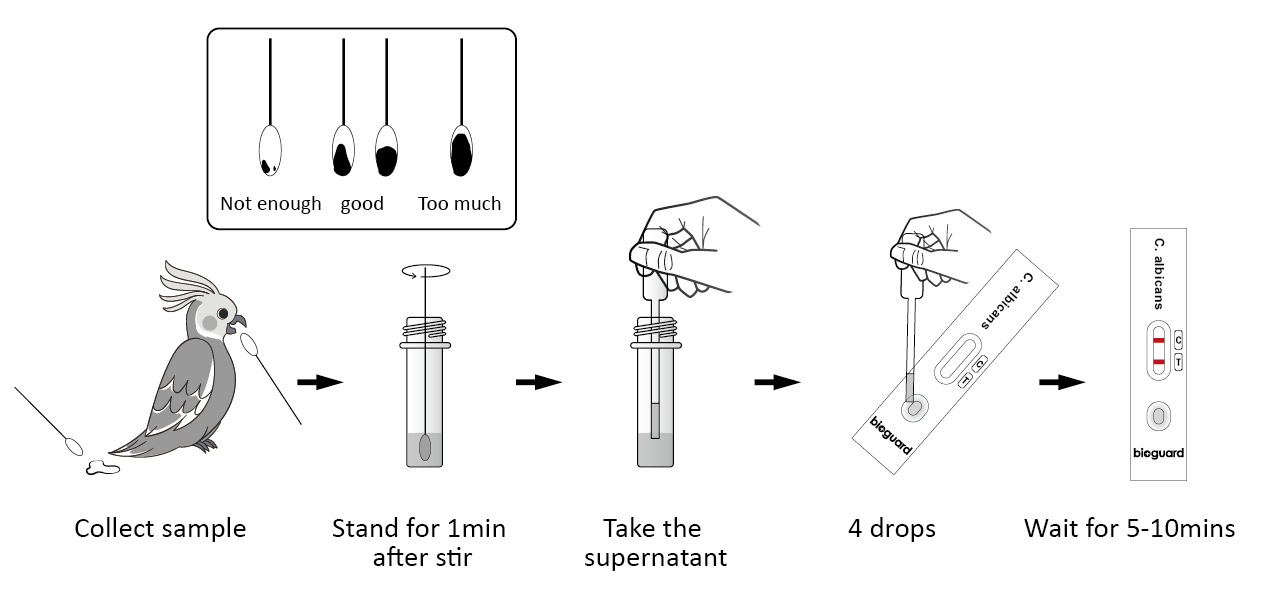 Candida albicans Ag Test - Bioguardlabs
