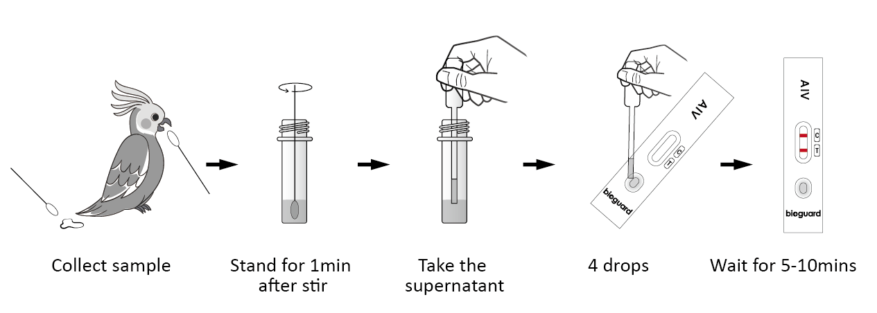 AIV Ag Test - Bioguardlabs