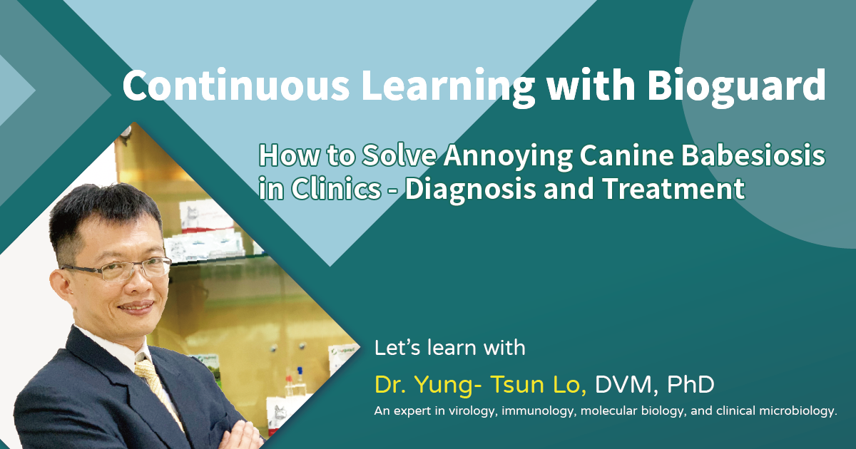 Free Veterinary Webinars | Global Vet Education with E-Certificate ...