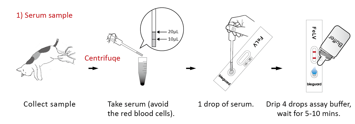 FeLV Ag Test - Bioguardlabs